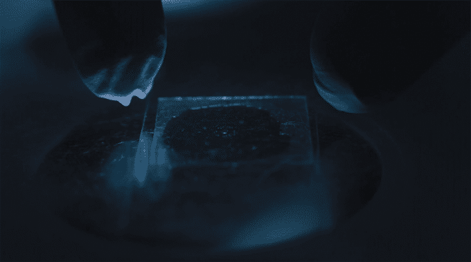 Compass Pathways | Biotechnology Company